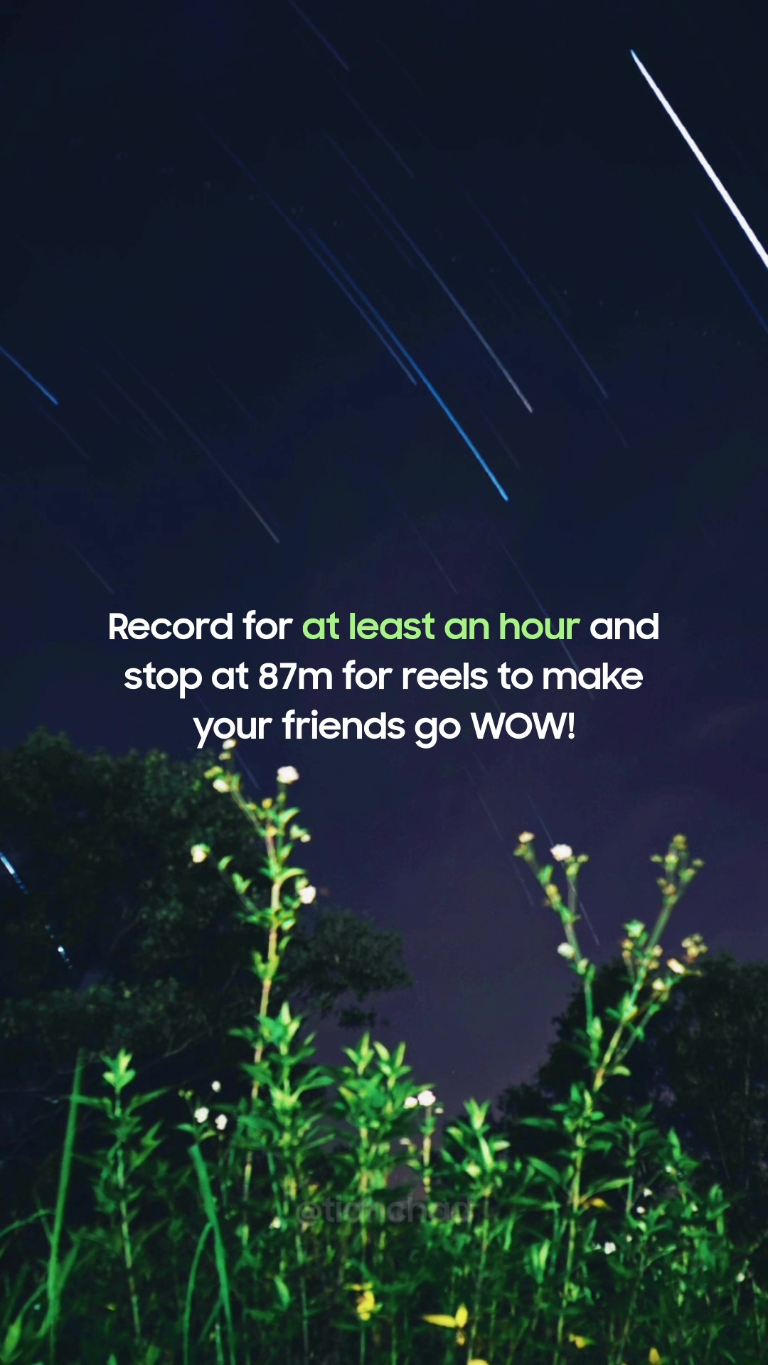 The Samsung Galaxy S23 Ultra Produces Professional Photography With Pro ...